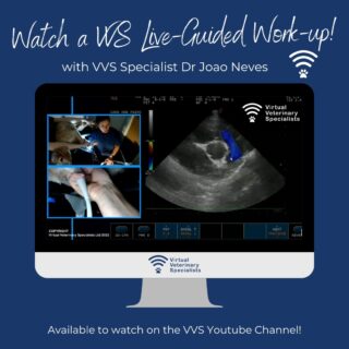 VVS – Virtual Veterinary Specialists